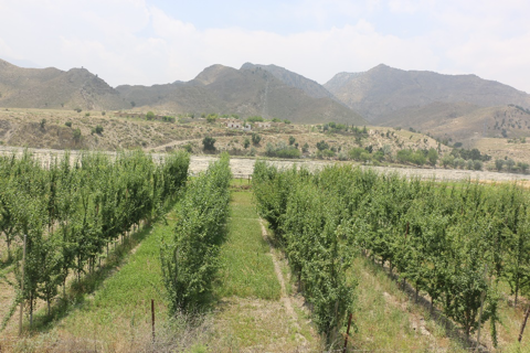 TLO-SLSD Project - The Liaison Office