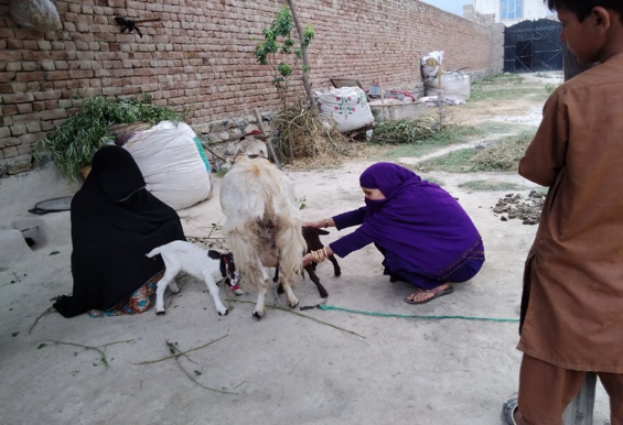 TLO-SLSD Project - The Liaison Office