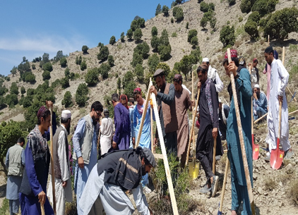 TLO-SLSD Project - The Liaison Office