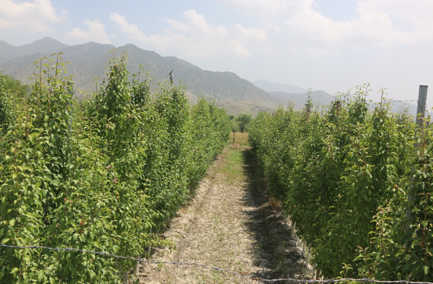 TLO-SLSD Project - The Liaison Office