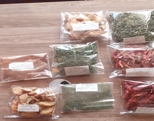 TLO-SLSD Project – The Liaison Office