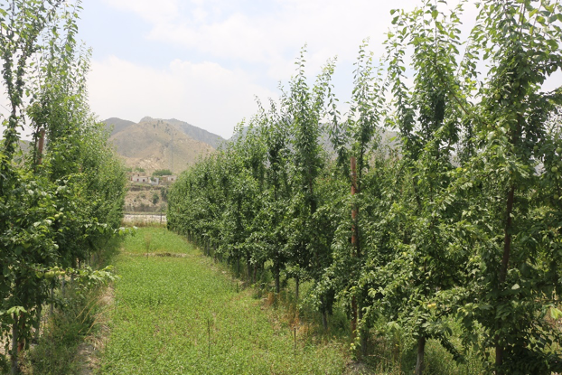 TLO-SLSD Project - The Liaison Office