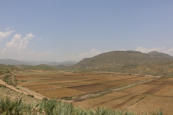 TLO-SLSD Project - The Liaison Office